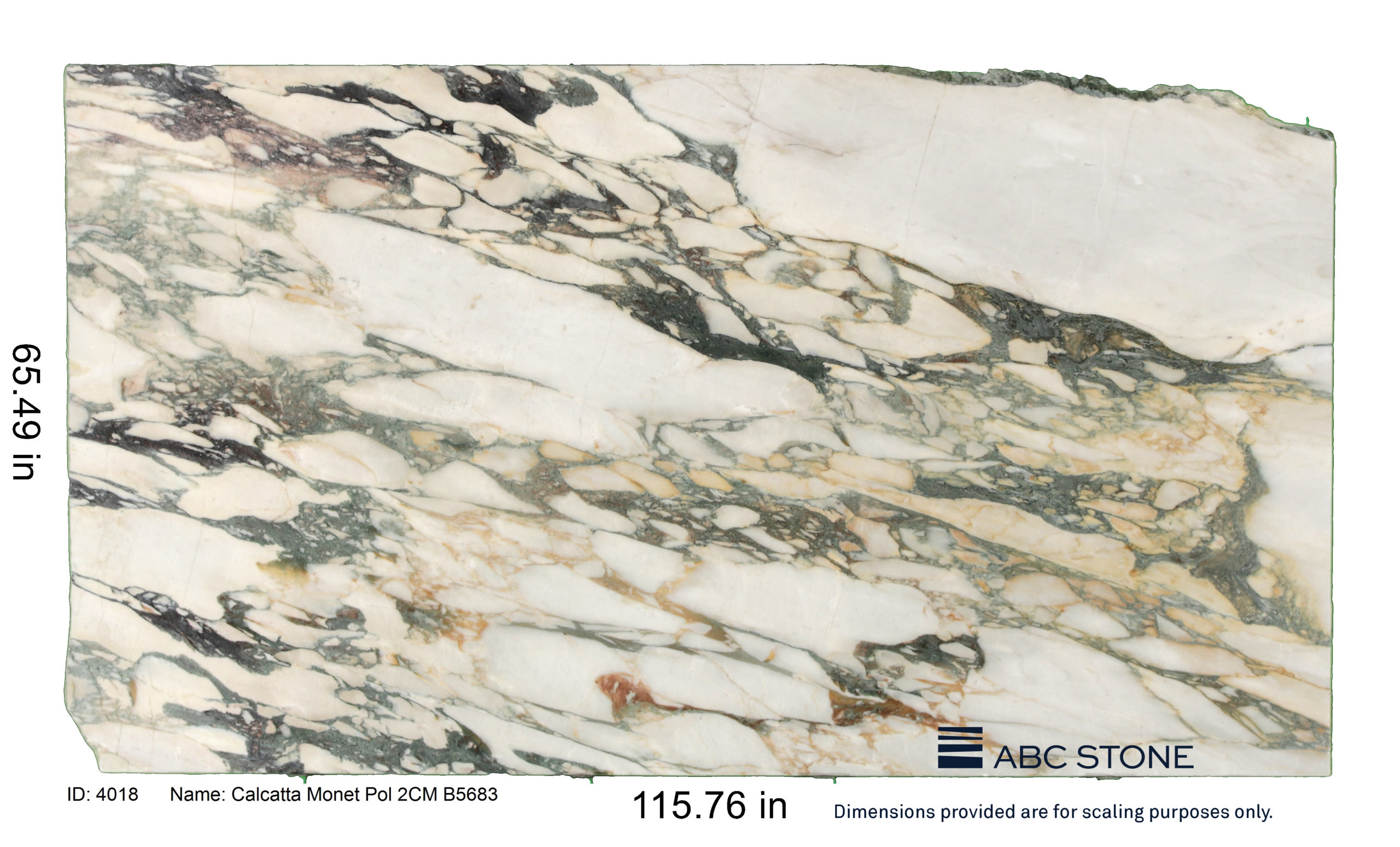 Calacatta Monet - ABC Stone : ABC Stone