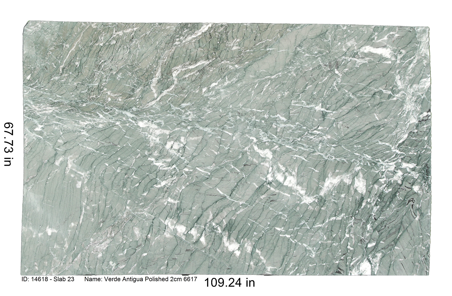 Verde Antigua - ABC Stone : ABC Stone