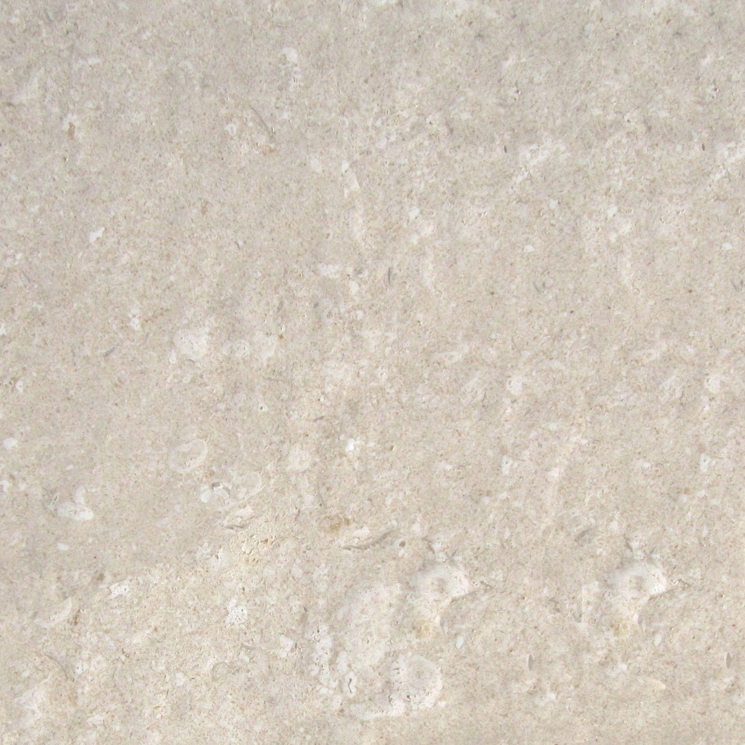 Bianco Avorio - ABC Stone : ABC Stone