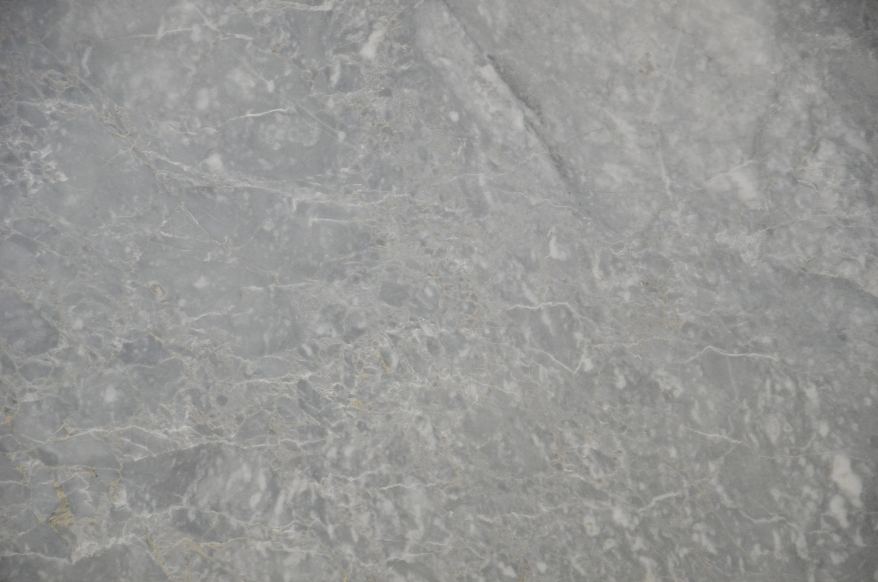 Bardiglio Versilia - ABC Stone : ABC Stone