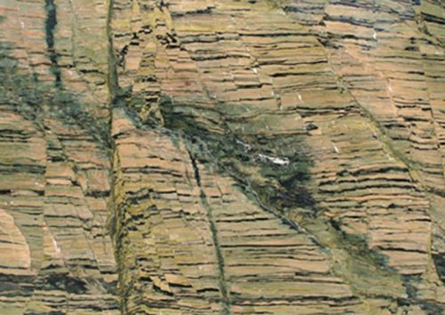 Verde Bamboo - ABC Stone : ABC Stone