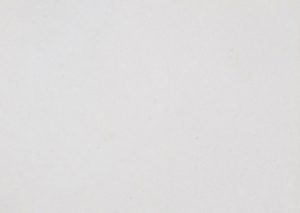 White Paloma - ABC Stone : ABC Stone