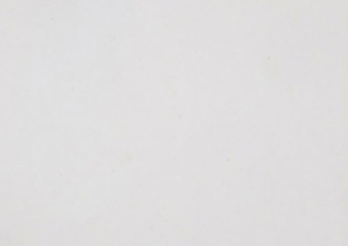 White Paloma - ABC Stone : ABC Stone