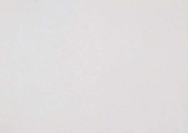 White Paloma - ABC Stone : ABC Stone