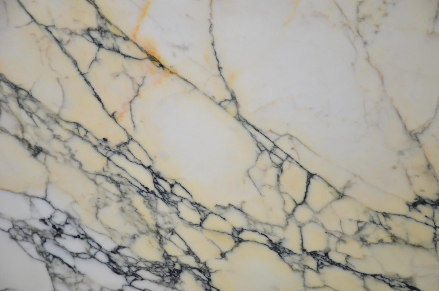 Paonazzetto - ABC Stone : ABC Stone