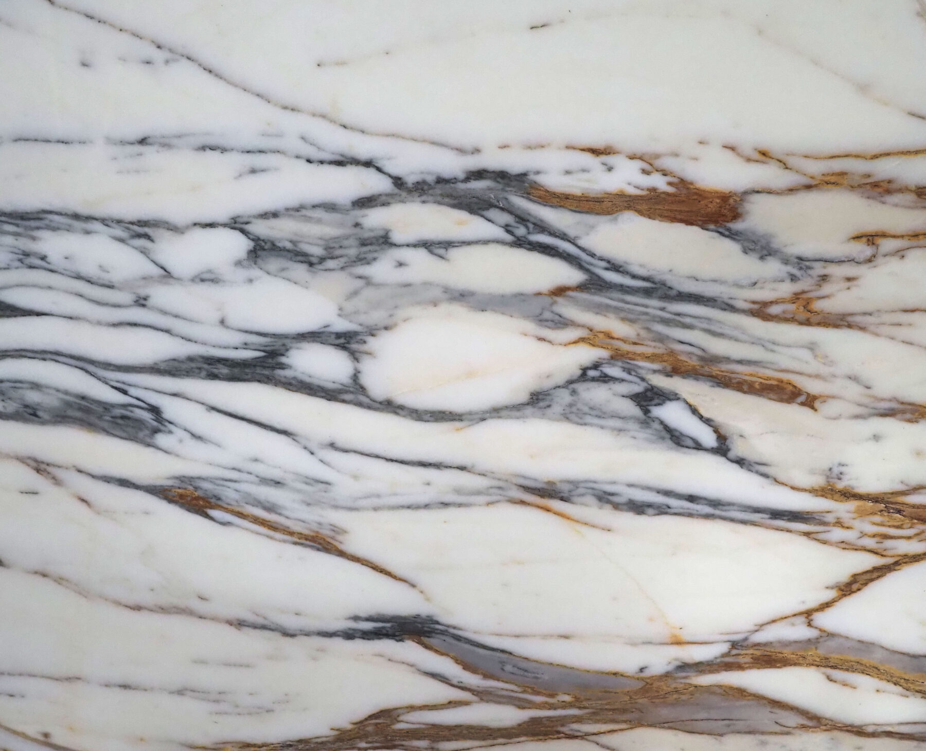 Arabescato Antico - ABC Stone : ABC Stone