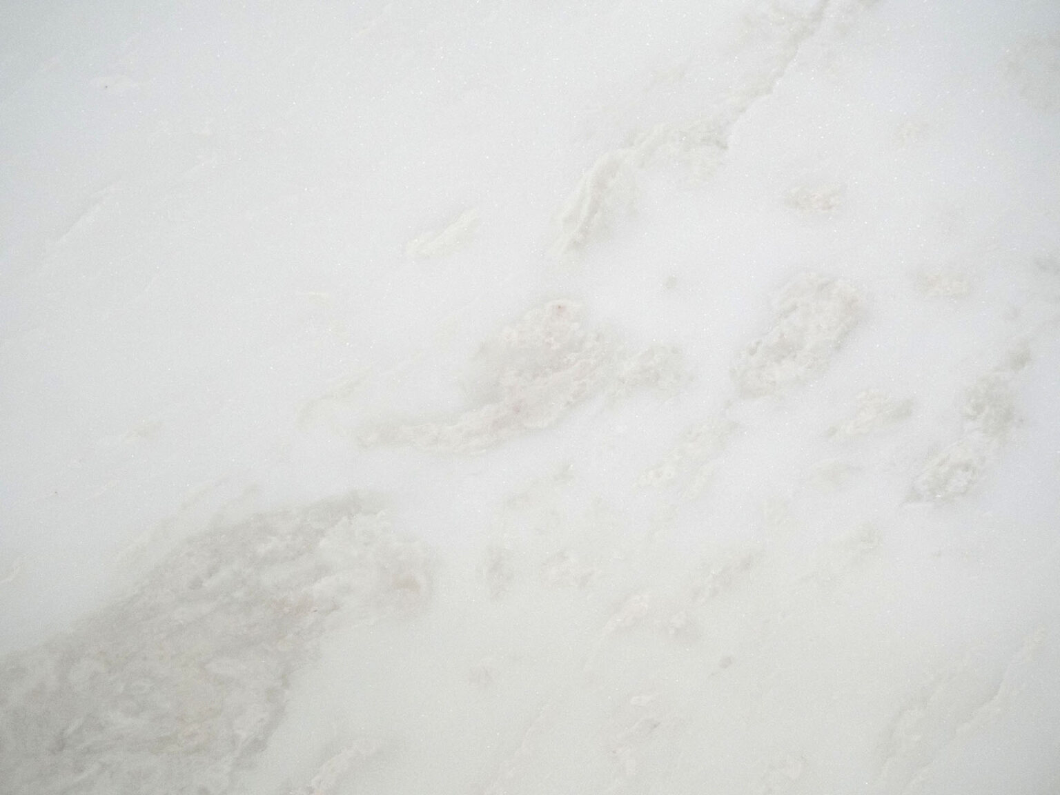 Bianco Namibia - ABC Stone : ABC Stone