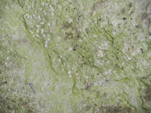 Verde Ming - ABC Stone : ABC Stone