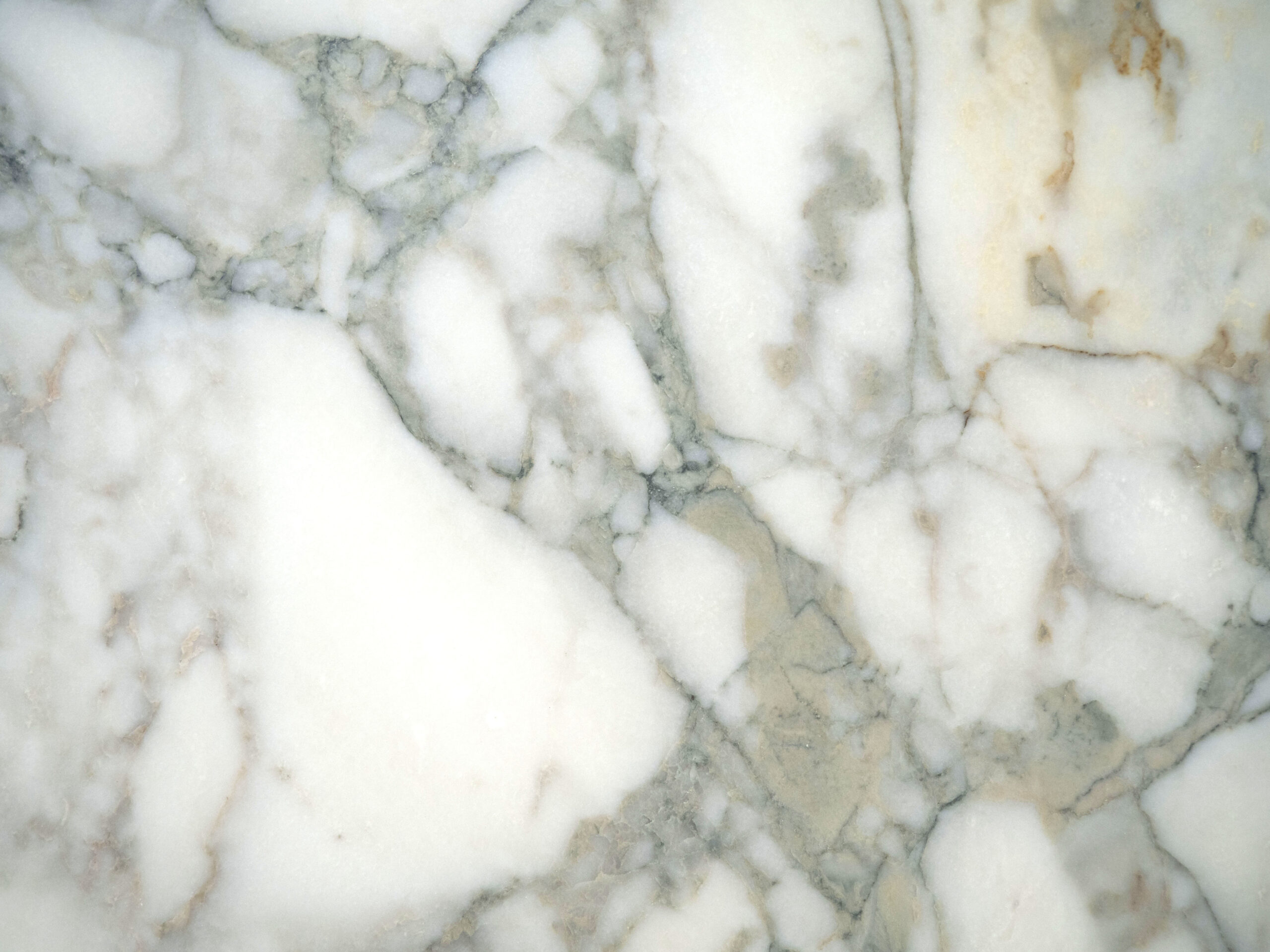 Calacatta Paonazzo Verde - ABC Stone : ABC Stone