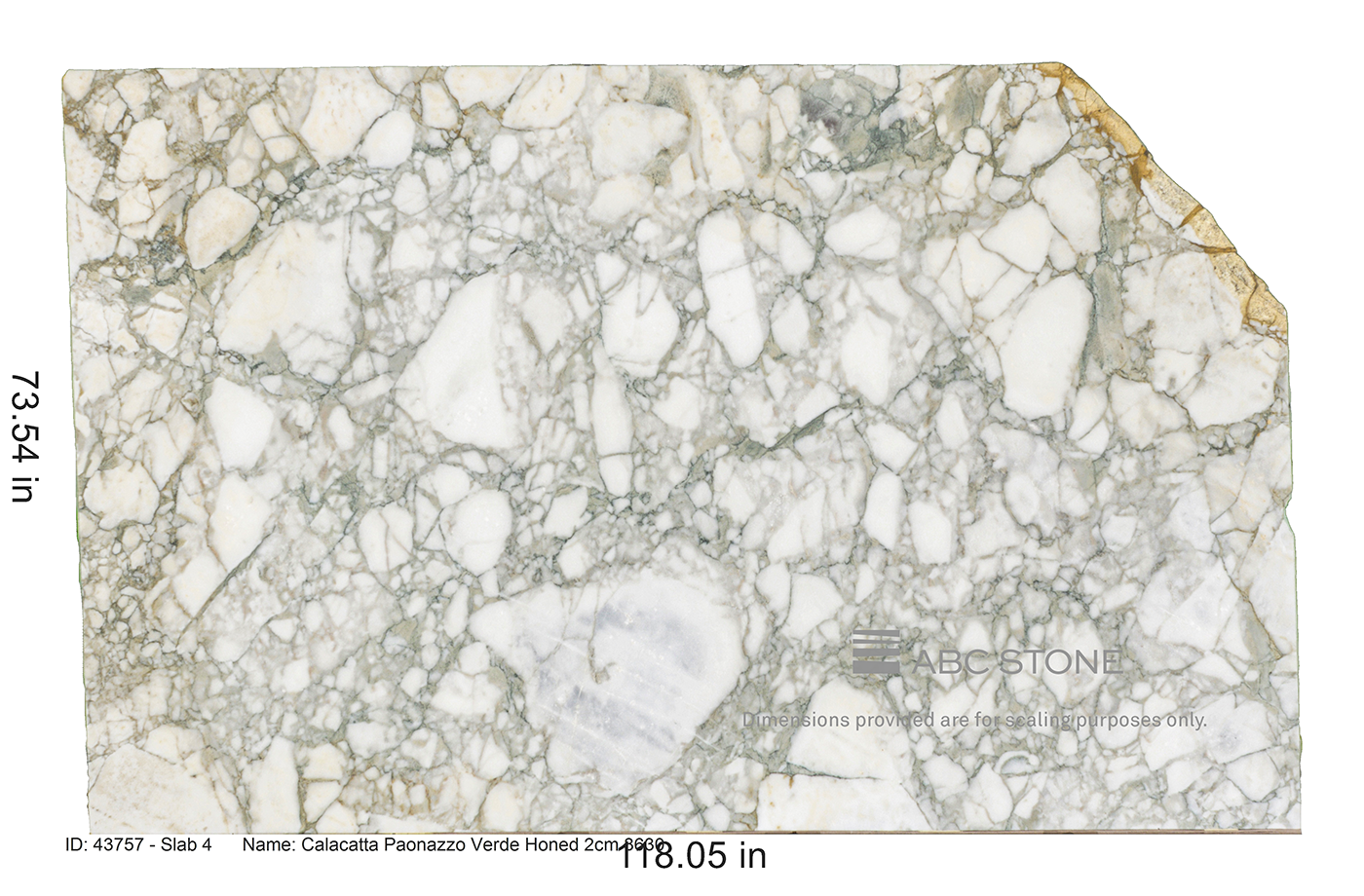 Calacatta Paonazzo Verde - ABC Stone : ABC Stone