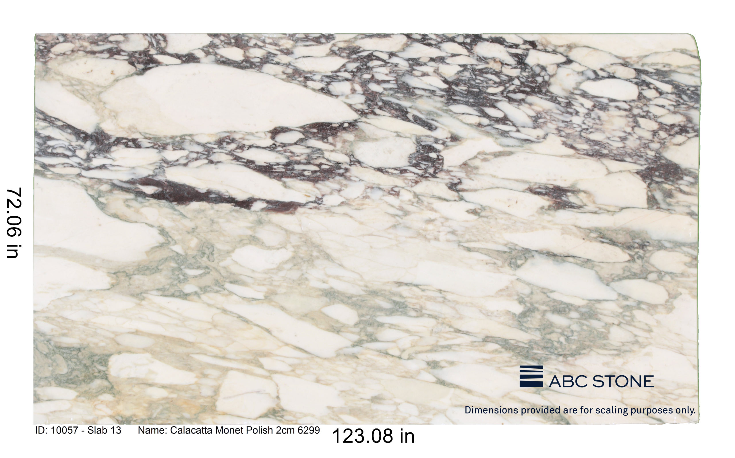 Calacatta Monet - ABC Stone : ABC Stone