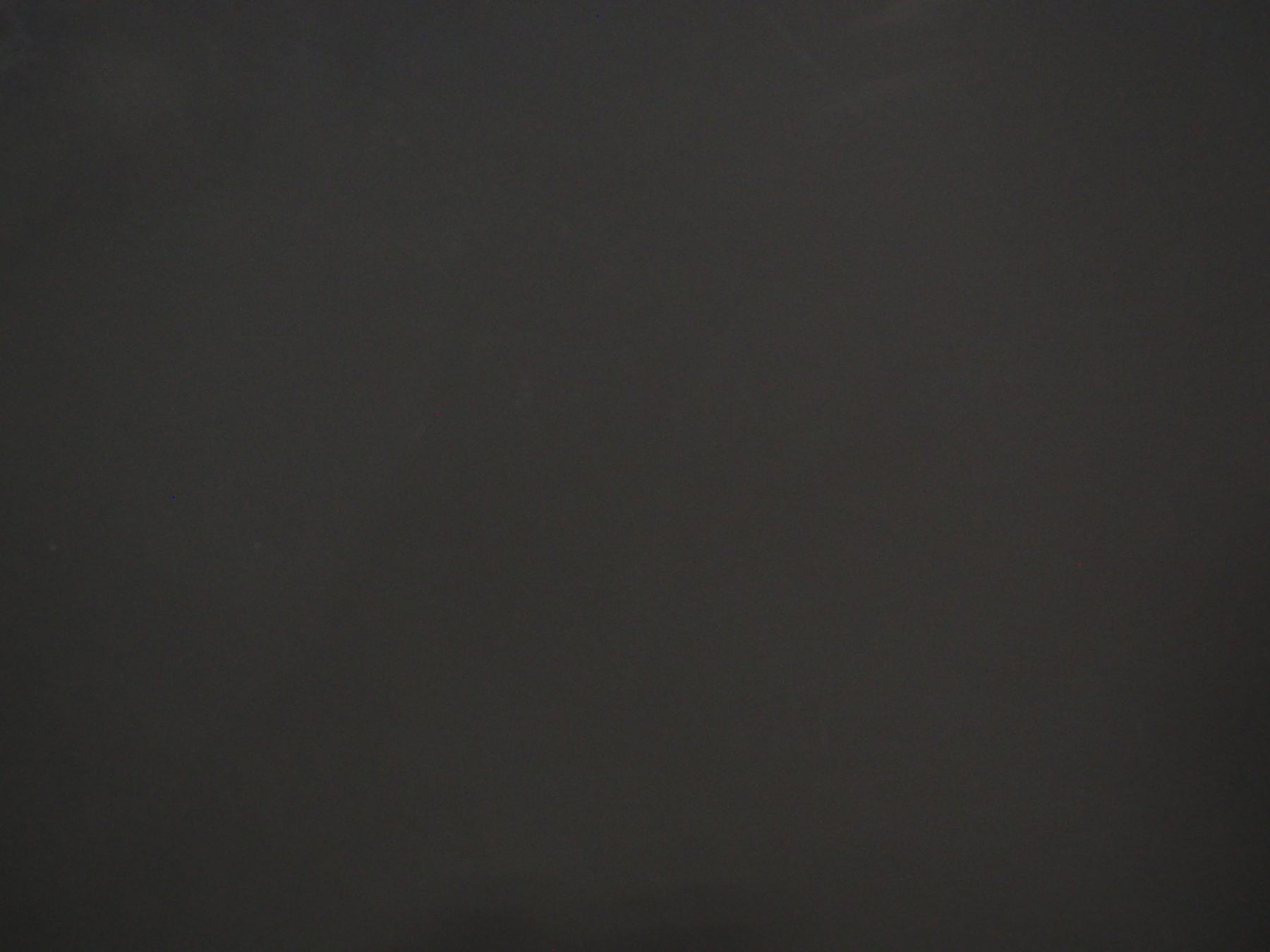 Black Italian Slate - ABC Stone : ABC Stone