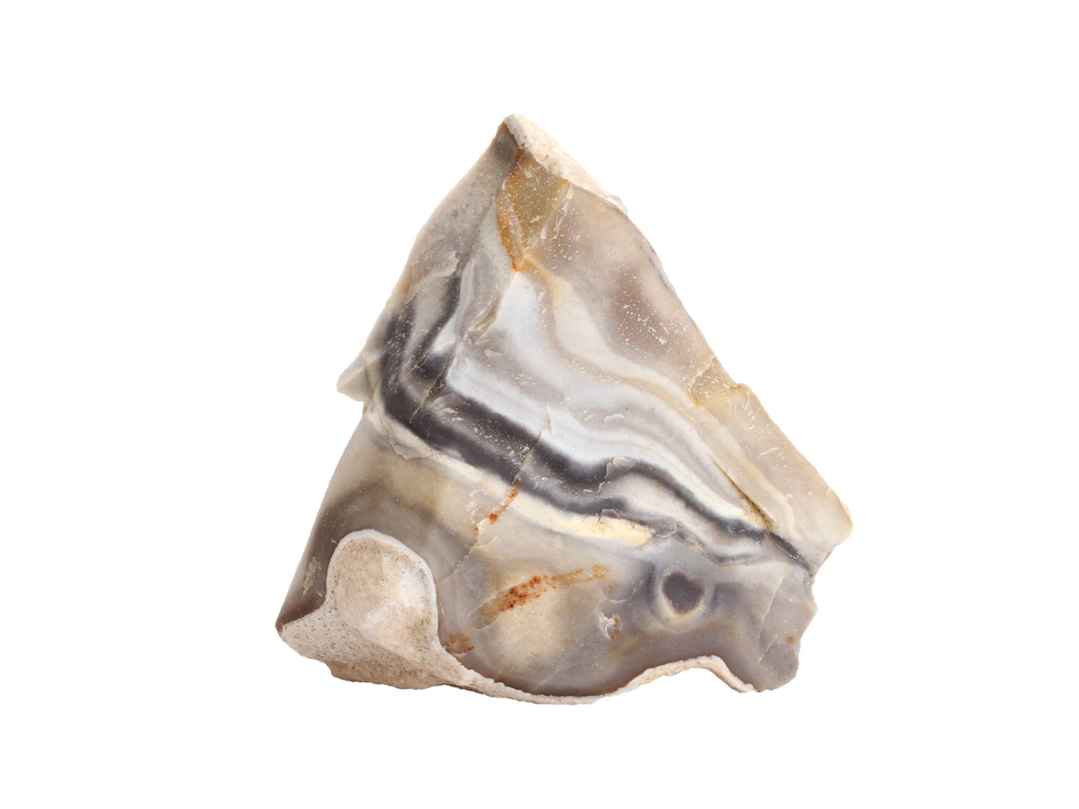 Jasper Shellflint - ABC Stone : ABC Stone